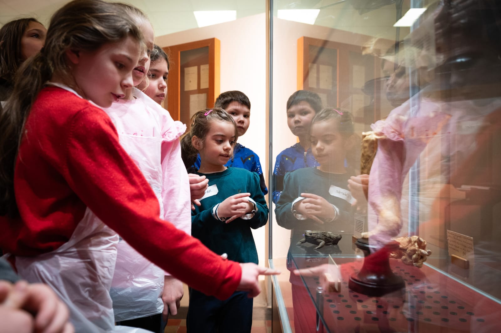 “Under the Skin Lab”, terzo laboratorio della Pro Loco di Lodi ...